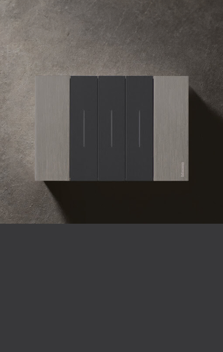 HomePage | BTicino International